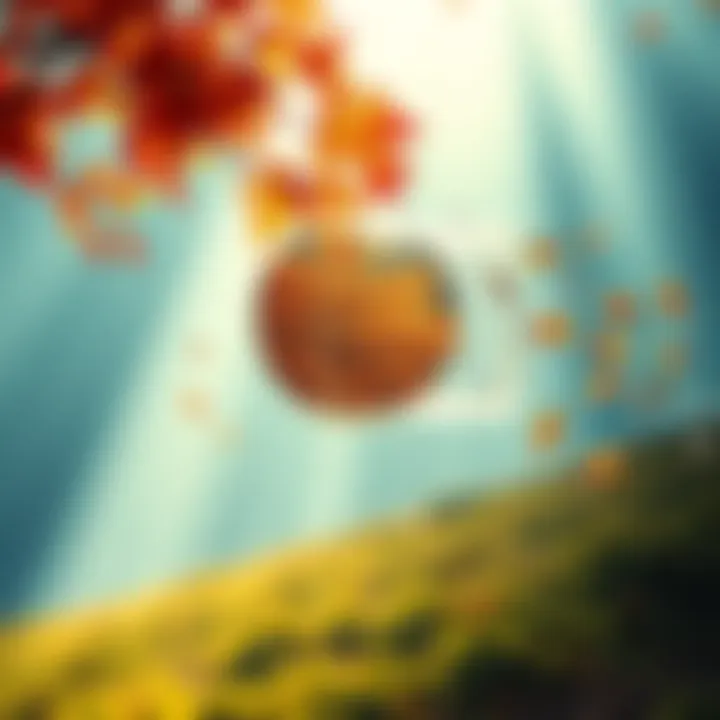 Can You Carry Over Common Essence Into the New Season? - DigiTokio